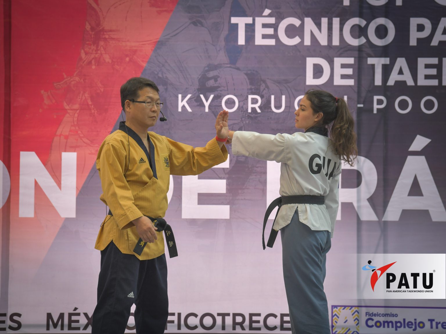 Multitudinous inauguration of the Pan American Taekwondo Congress ...